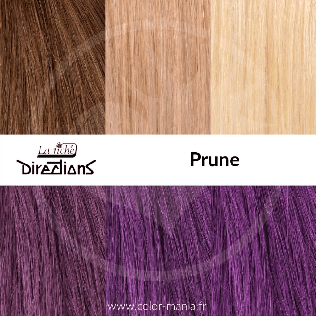 Coloration Cheveux Violet Prune – Directions | Color-Mania